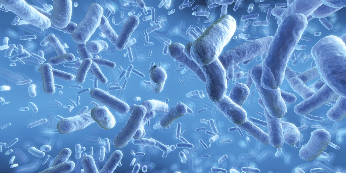 Suggestions for Making Safe Fermented Foods at Home - International ...