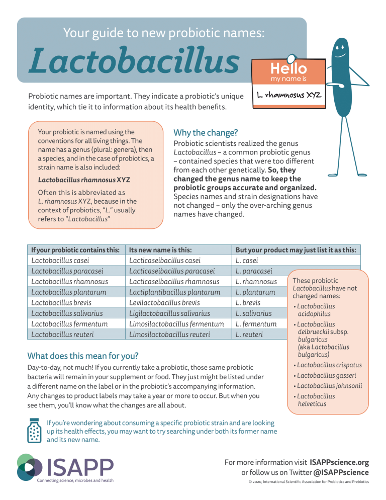 Your guide to new probiotic names: Lactobacillus - International ...
