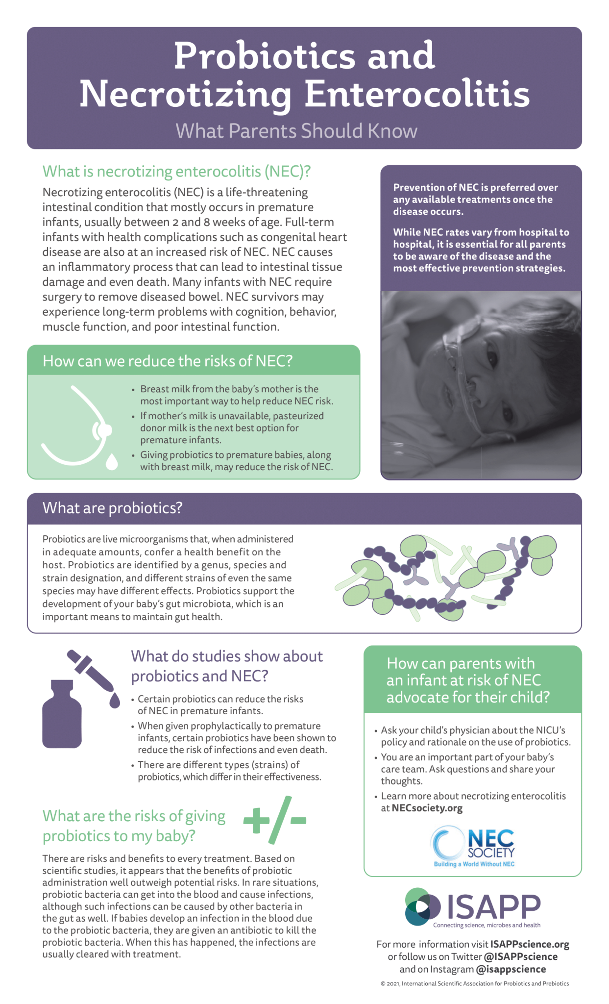 Probiotics and Necrotizing Enterocolitis - International Scientific ...