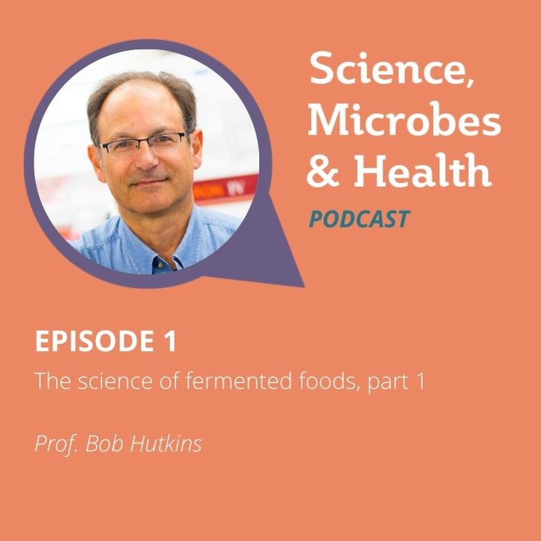 Do all fermented foods contain a probiotic? - International Scientific ...