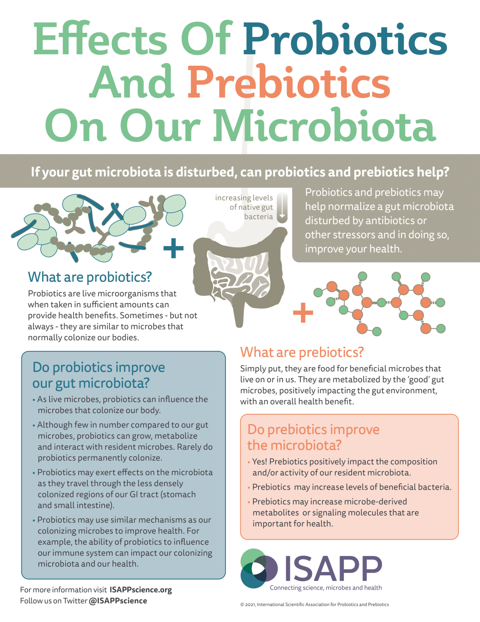 Effects Of Probiotics And Prebiotics On Our Microbiota - International ...