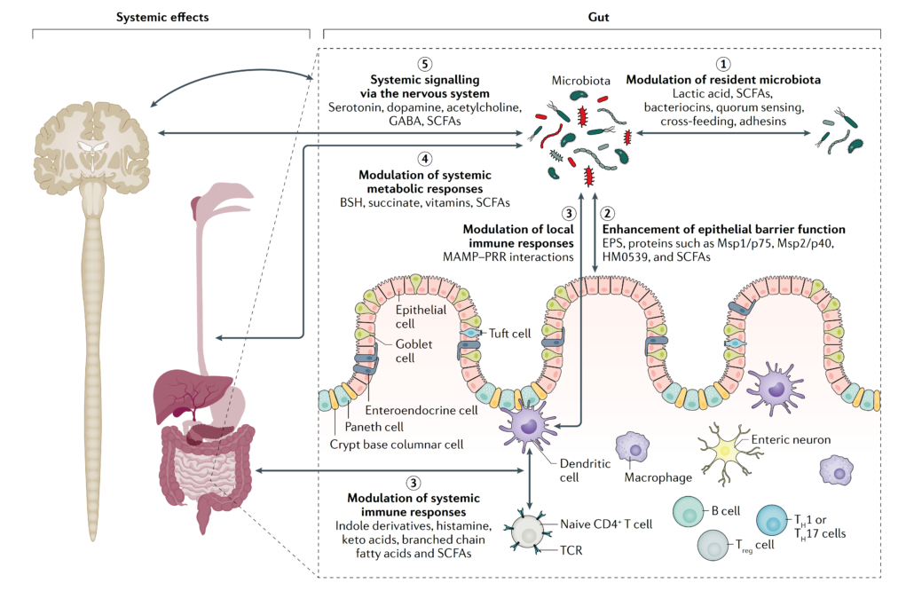Episode 6: Mechanisms of action for probiotics - International ... Episode 6: Mechanisms of action for probiotics - International ...