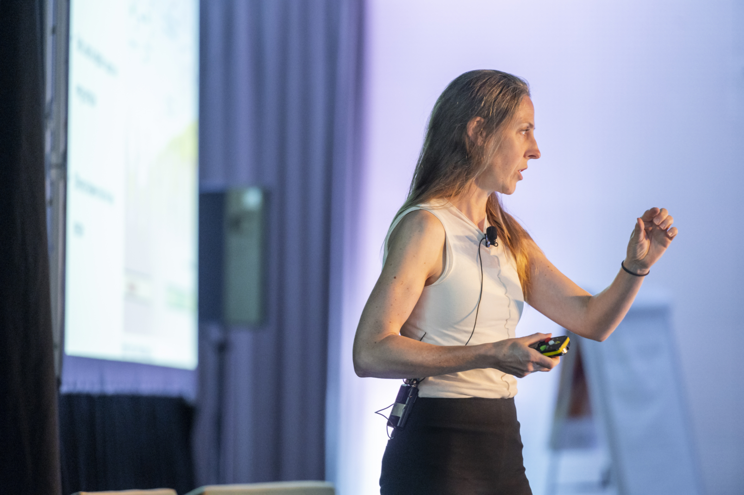 Looking back and looking ahead: ISAPP session focuses on the past ...