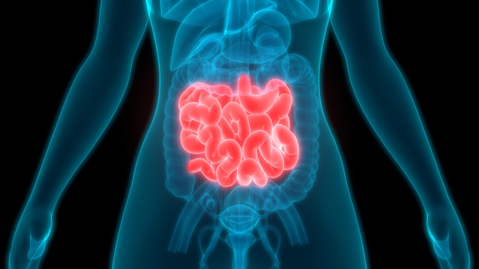 Episode 32: How microbes and mucus interact in the gut - International ...