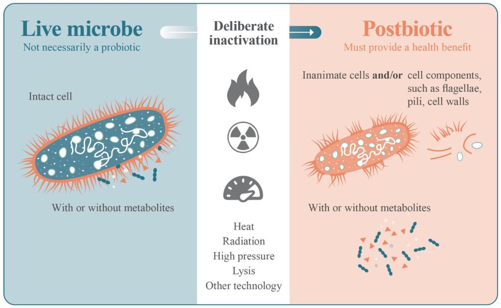 ISAPP elaborates criteria for prebiotics - International Scientific ...