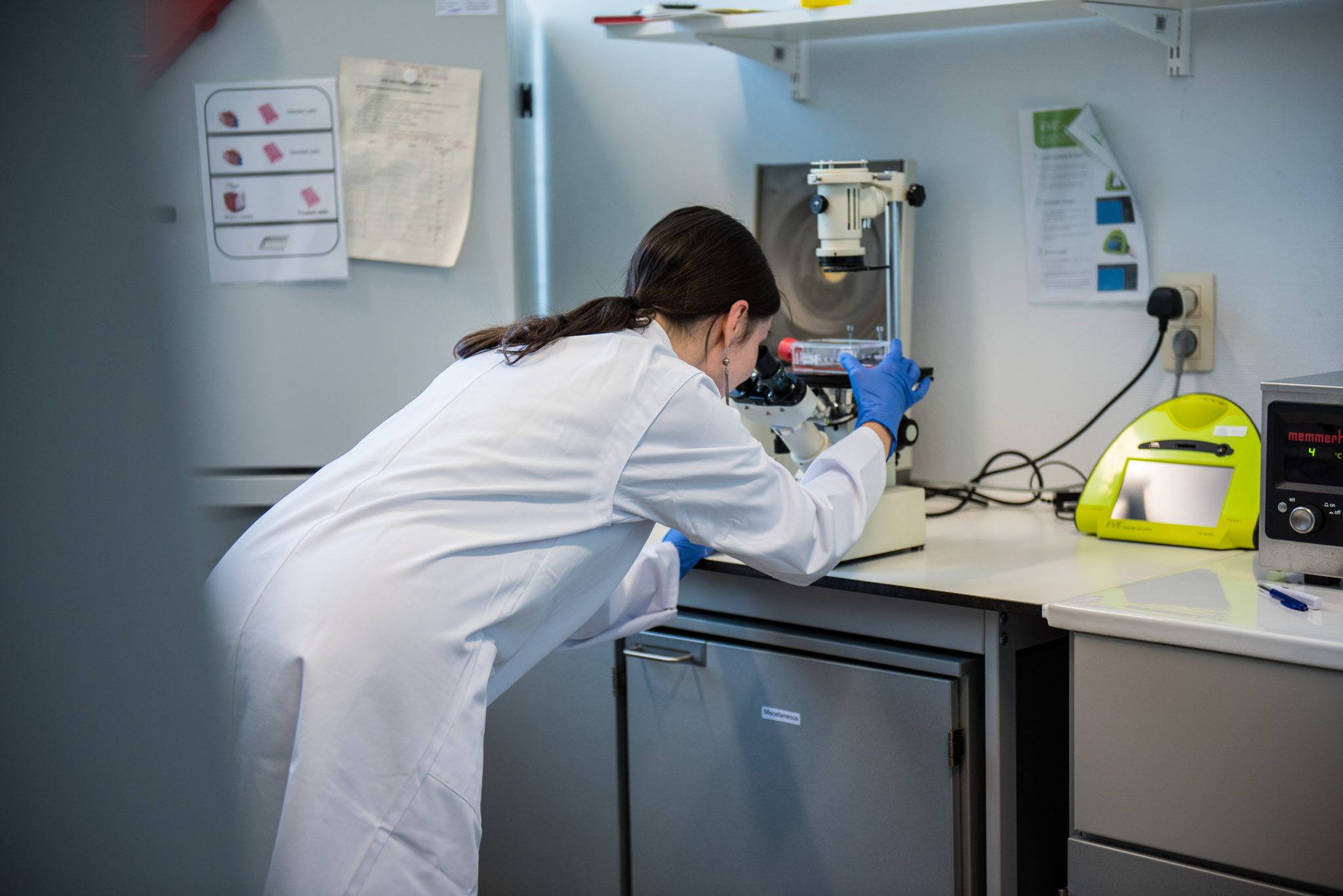 Synbiotics - International Scientific Association for Probiotics and ...